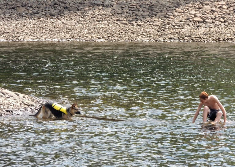 The Complete Guide to Canoeing and Kayaking with Dogs