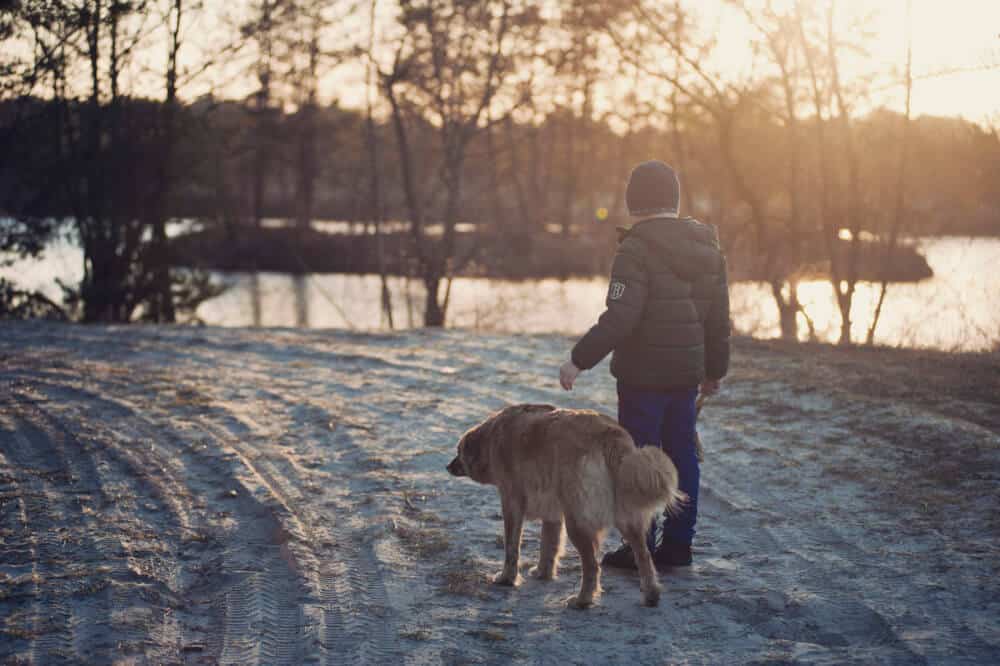Awesome Tips for Skiing and Snowshoeing with Dogs