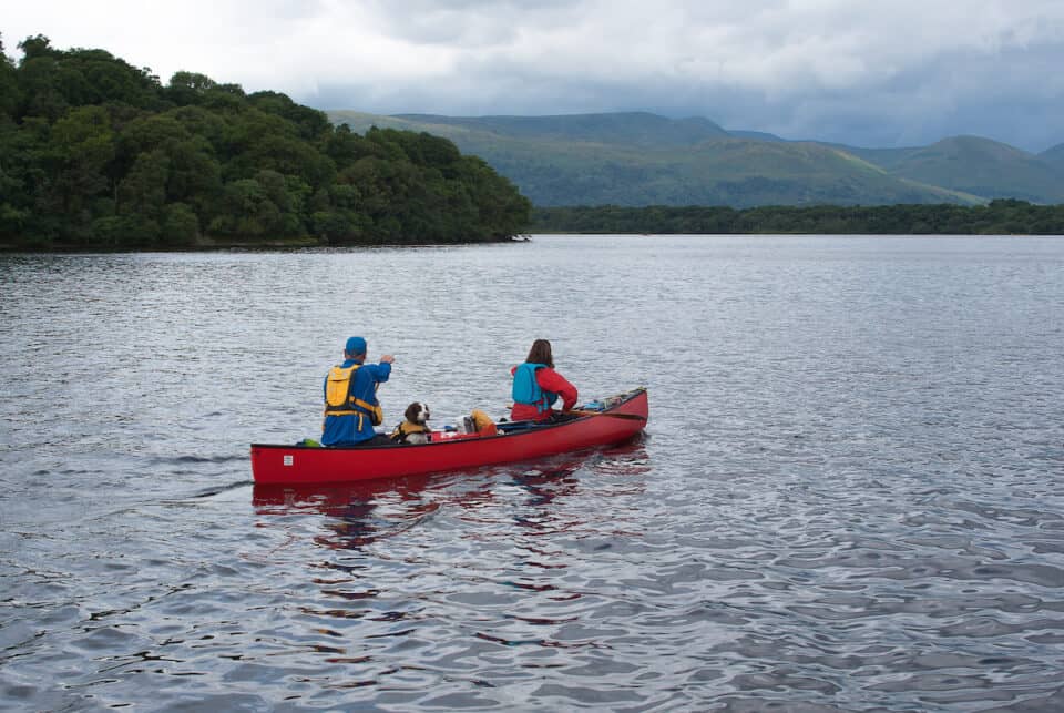 The Complete Guide to Kayaking and Canoeing with Dogs