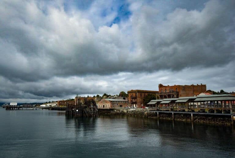 Incredible Puget Sound Whale Watching in Washington