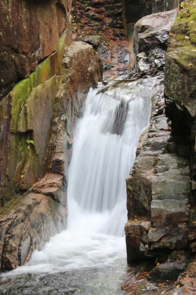 The Best Lincoln, NH Attractions for Outdoor Lovers