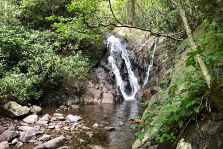 Hiking and Camping at Grayson Highlands State Park