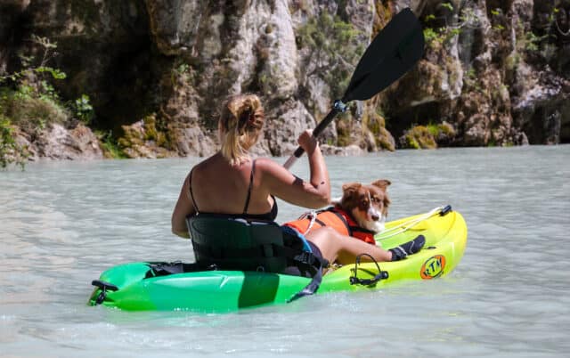 The Complete Guide to Kayaking and Canoeing with Dogs