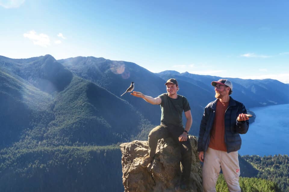 Explore Washington: Hike Mount Storm King in Olympic National Park